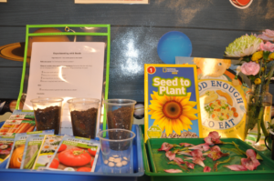 Elementary Program – YOUNG EXPLORERS CLUB