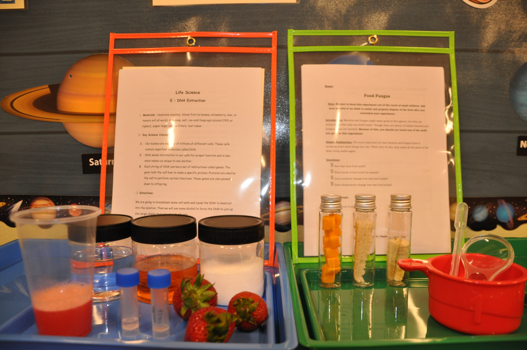 YOUNG EXPLORERS CLUB